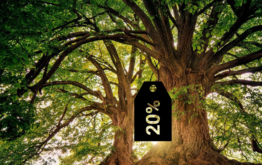 Tout sur le crédit impôt innovation (CII)